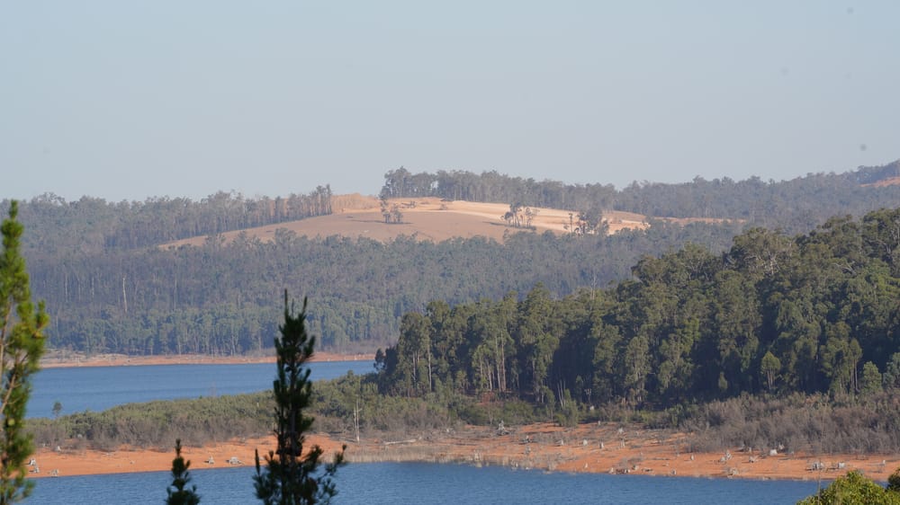 Peter Milne - Boiling Cold