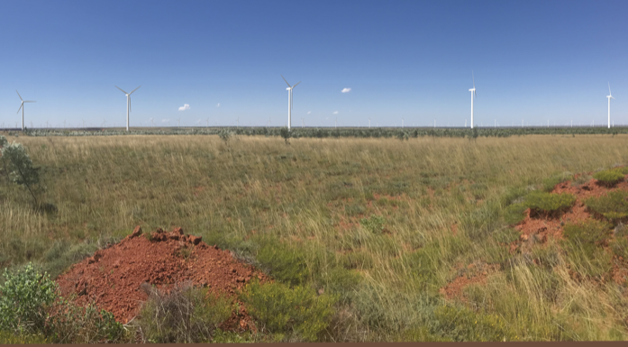 Peter Milne - Boiling Cold