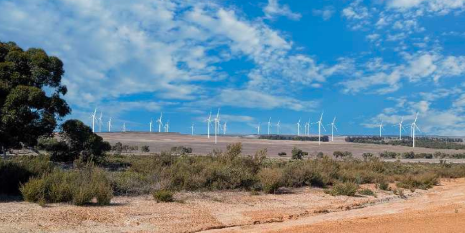 Peter Milne - Boiling Cold