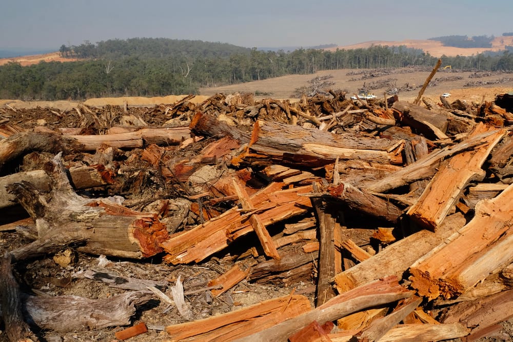 Peter Milne - Boiling Cold