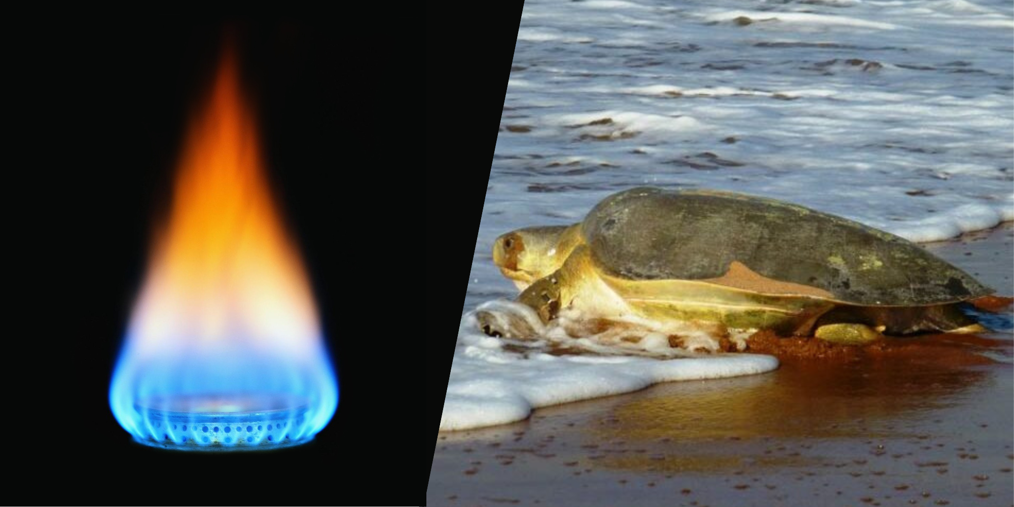 WA's EPA speeds emissions deregulation while Chevron environmental ...