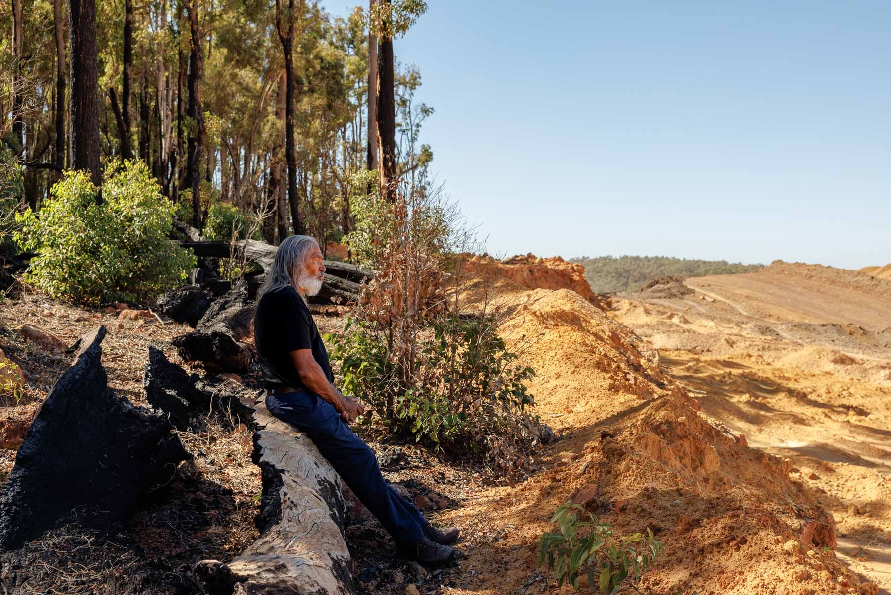 How Alcoa is undermining a rare forest to fuel its empire