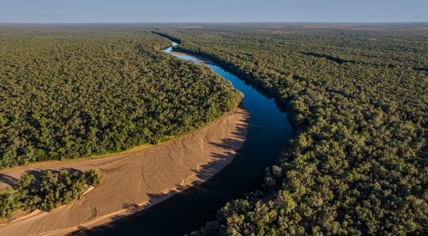 Peter Milne - Boiling Cold